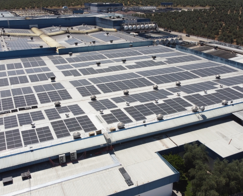 Ignis Group | Energy company| We manage the energy of the future