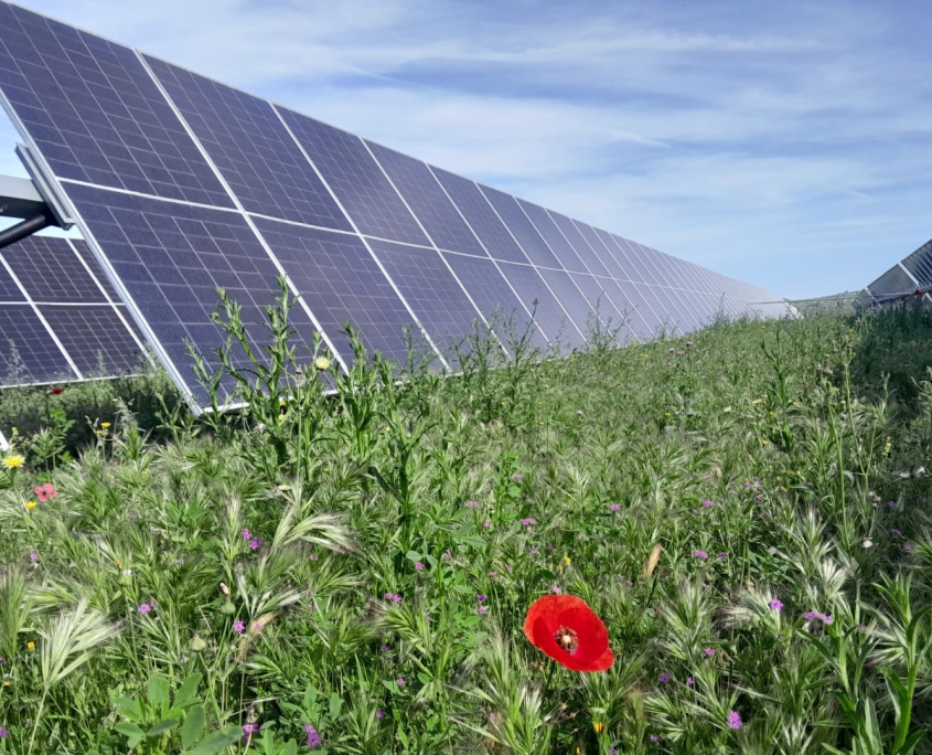 Ignis Group | Energy company| We manage the energy of the future