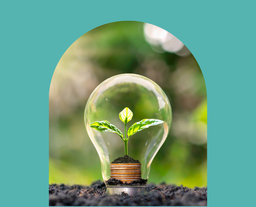 Ignis Group | Energy company| We manage the energy of the future